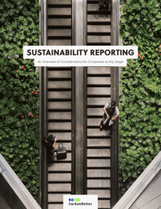Sustainability Reporting Frameworks, Standards, and Protocols: A ...