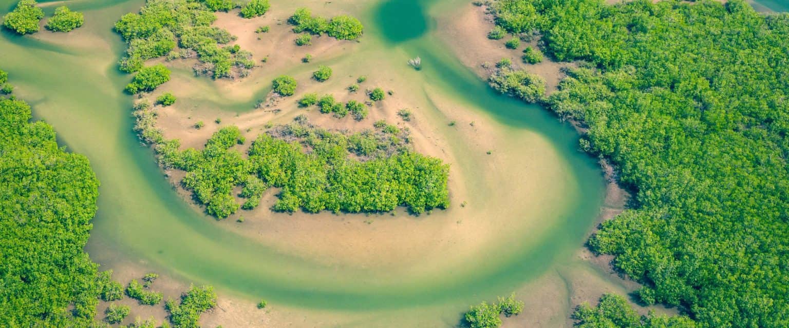 What Is Blue Carbon? - CarbonBetter