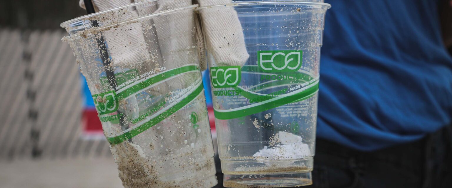 Common Greenwashing Terms & Examples - CarbonBetter